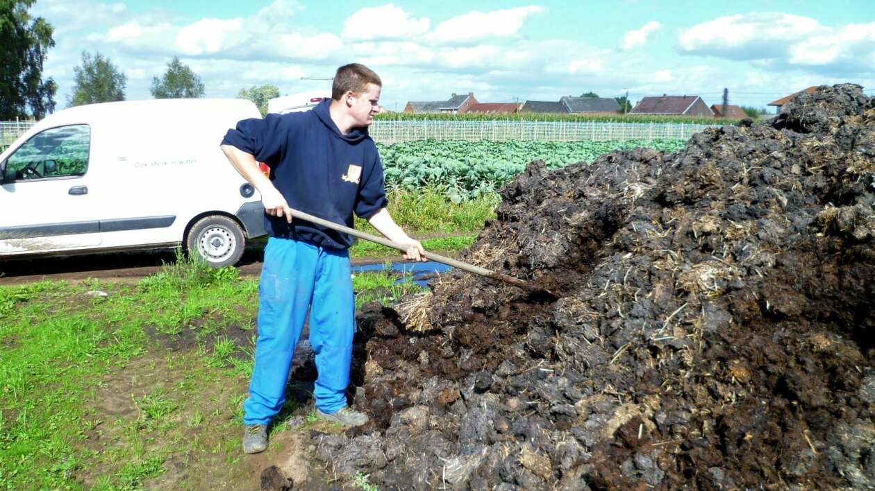 NP-analyse mest | Bodemkundige Dienst van België