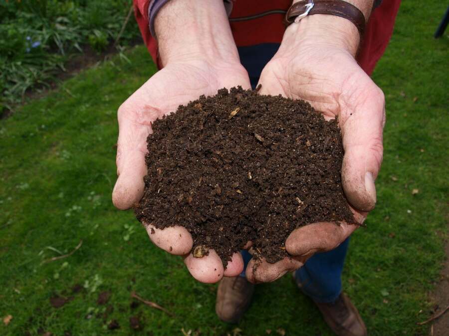 Analyse compost standard | Service Pédologique de Belgique